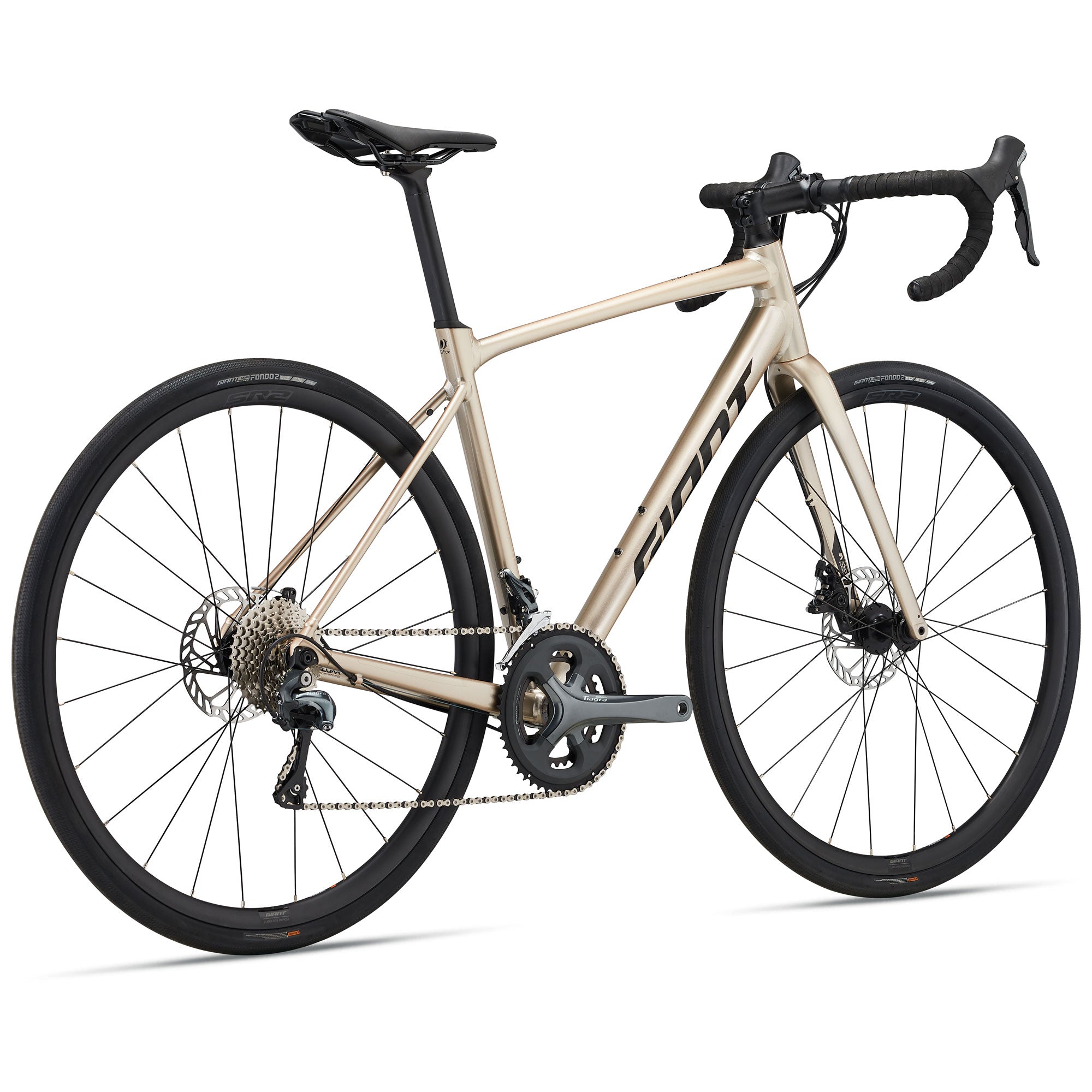 Giant Contend AR 2 2024 | Road Bikes | Bicycle Superstore