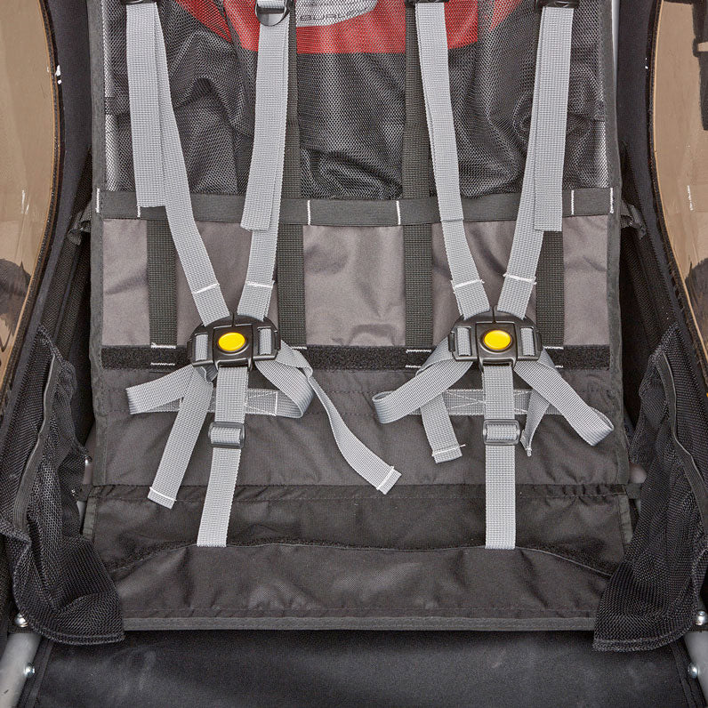 Burley Honey Bee Double Kids Trailer – Bicycle Superstore
